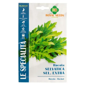 Shop Royal Seeds Wild Rocket Seed Pack (6 g) Online - ACE UAE