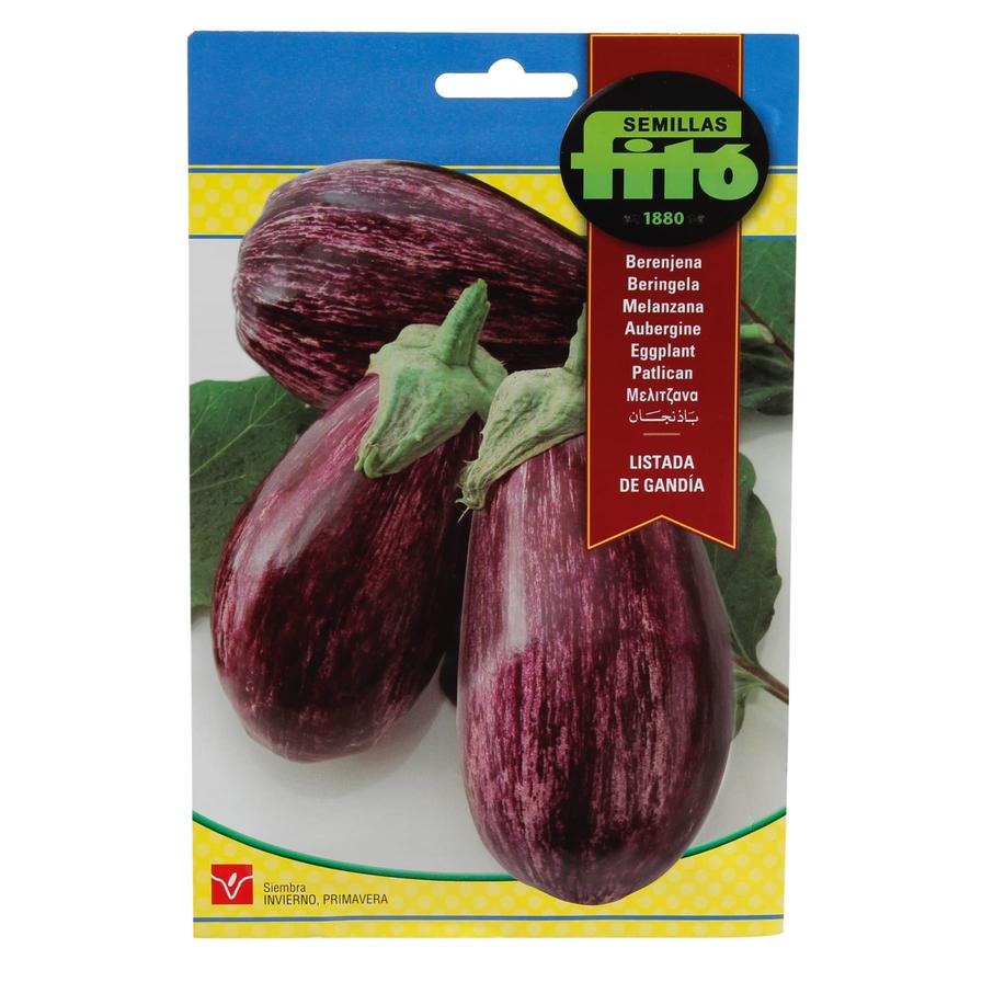 Buy Fito Eggplant Seed Pack Online in Dubai & the UAE|ACE