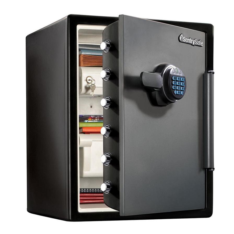 Buy Sentry Fire & Water Resistant XXL Digital Safe, SFW205FYC (0.058 cu ...