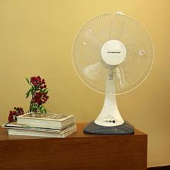 Shop Olsenmark Table Fan, OMF1699 (60 W) Online - ACE UAE